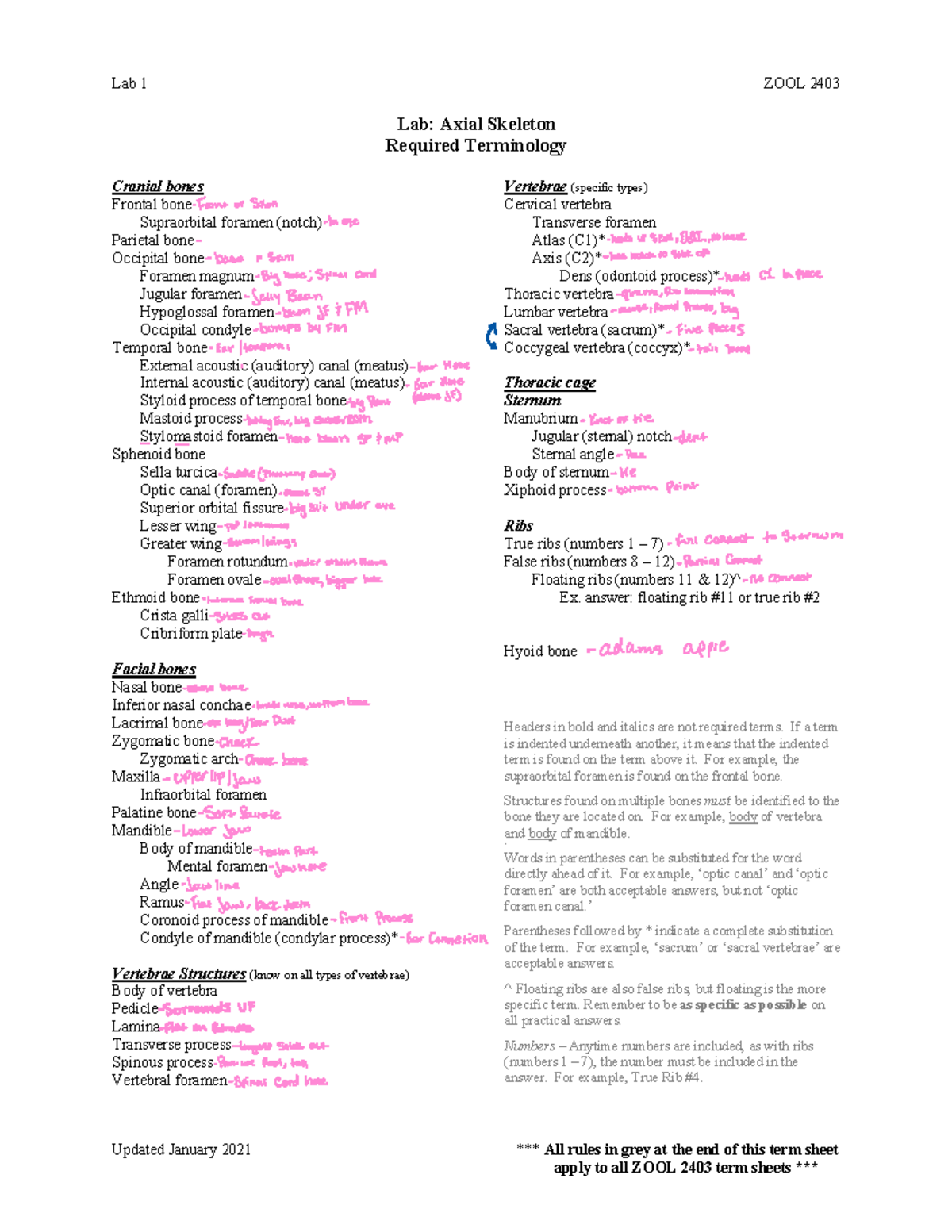 Axial Skeleton - Practical Lab Notes for ZOOL 2403 - Studocu