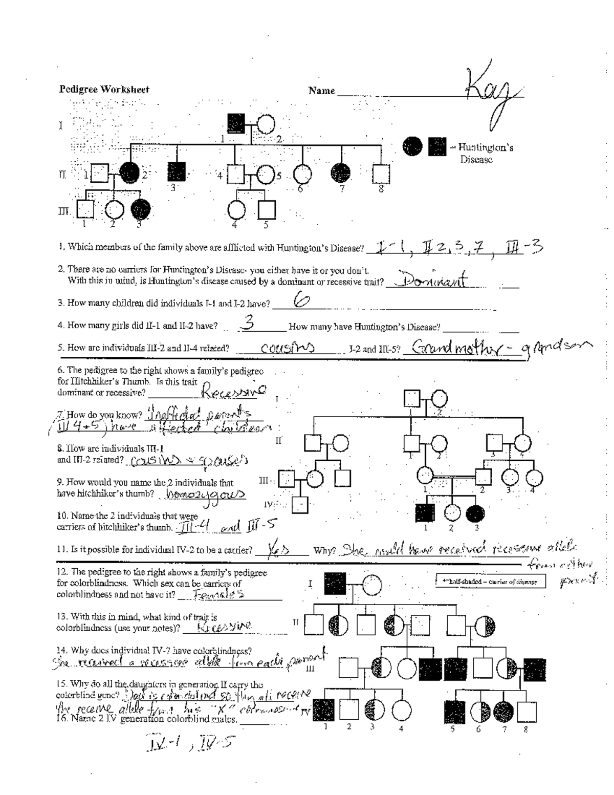 Pedigree worksheet key for genetics analysis - Studocu