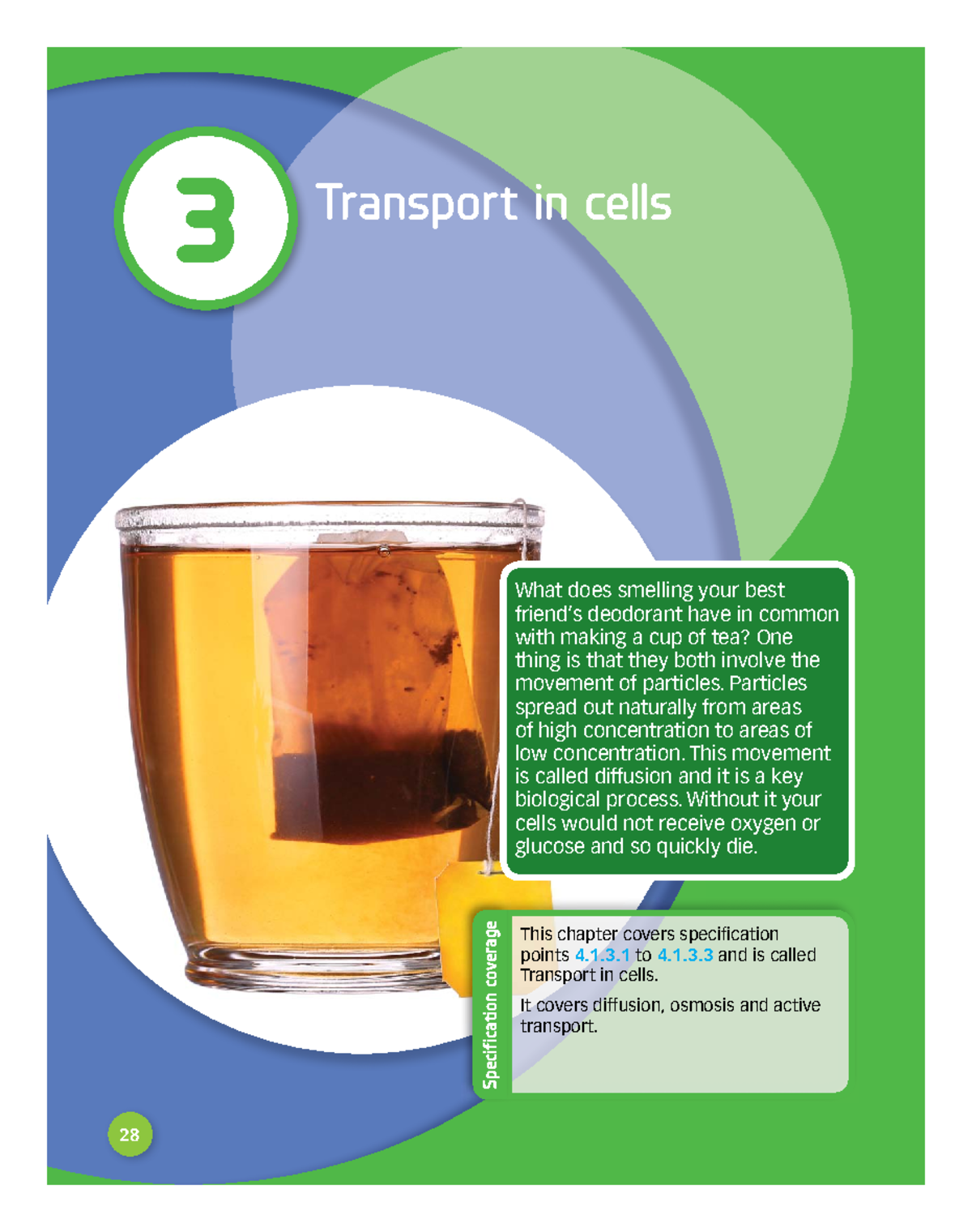 GCSE 03 Transport in Cells: Diffusion, Osmosis, and Active Transport ...