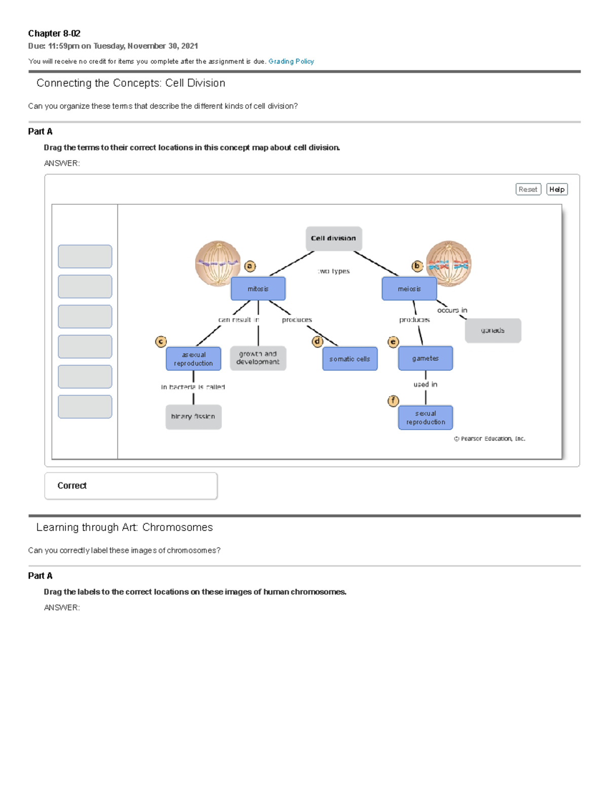Chapter 8-02 - Pearson - Cell Division Homework Assignment - Studocu