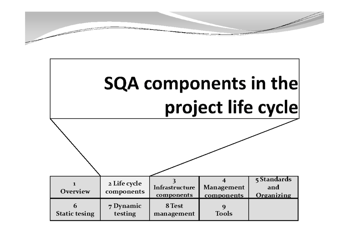 Chapter 2 SQA components in the project life cycle - 1 Overview 2 Life ...