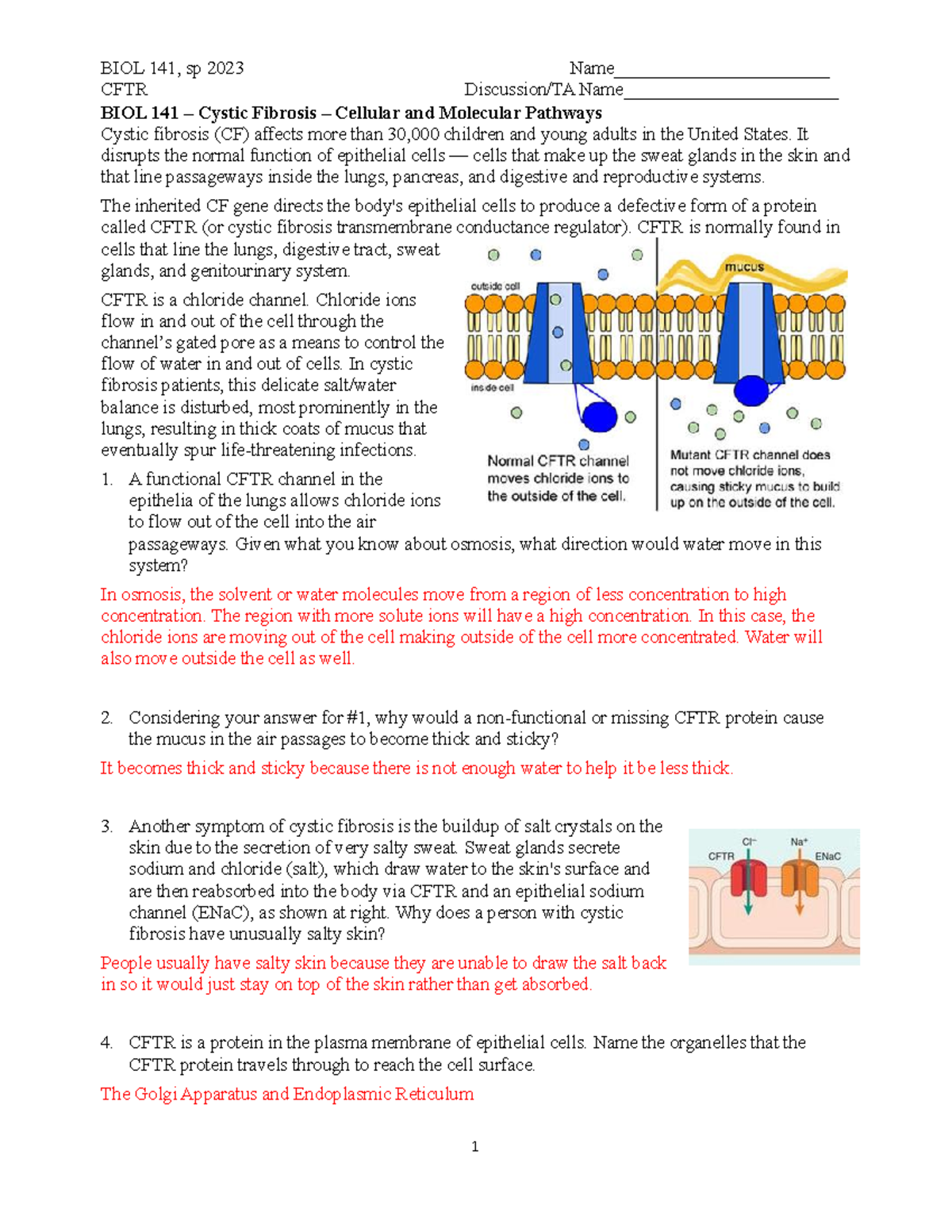 BIOL 141 - Cystic Fibrosis: Cellular Pathways & Treatments Worksheet ...