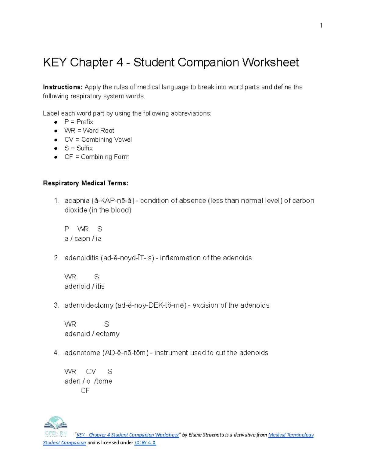 KEY - Chapter 4 Medical Terminology Student Companion Worksheet - Studocu