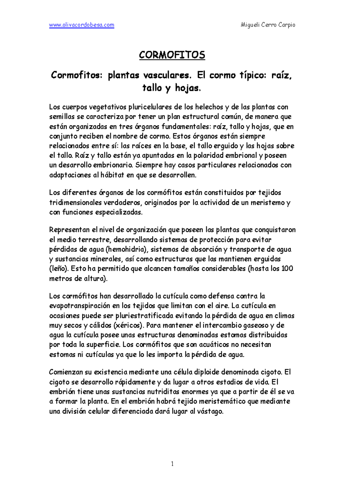 Cormofitos - CORMOFITOS Cormofitos: plantas vasculares. El cormo típico ...