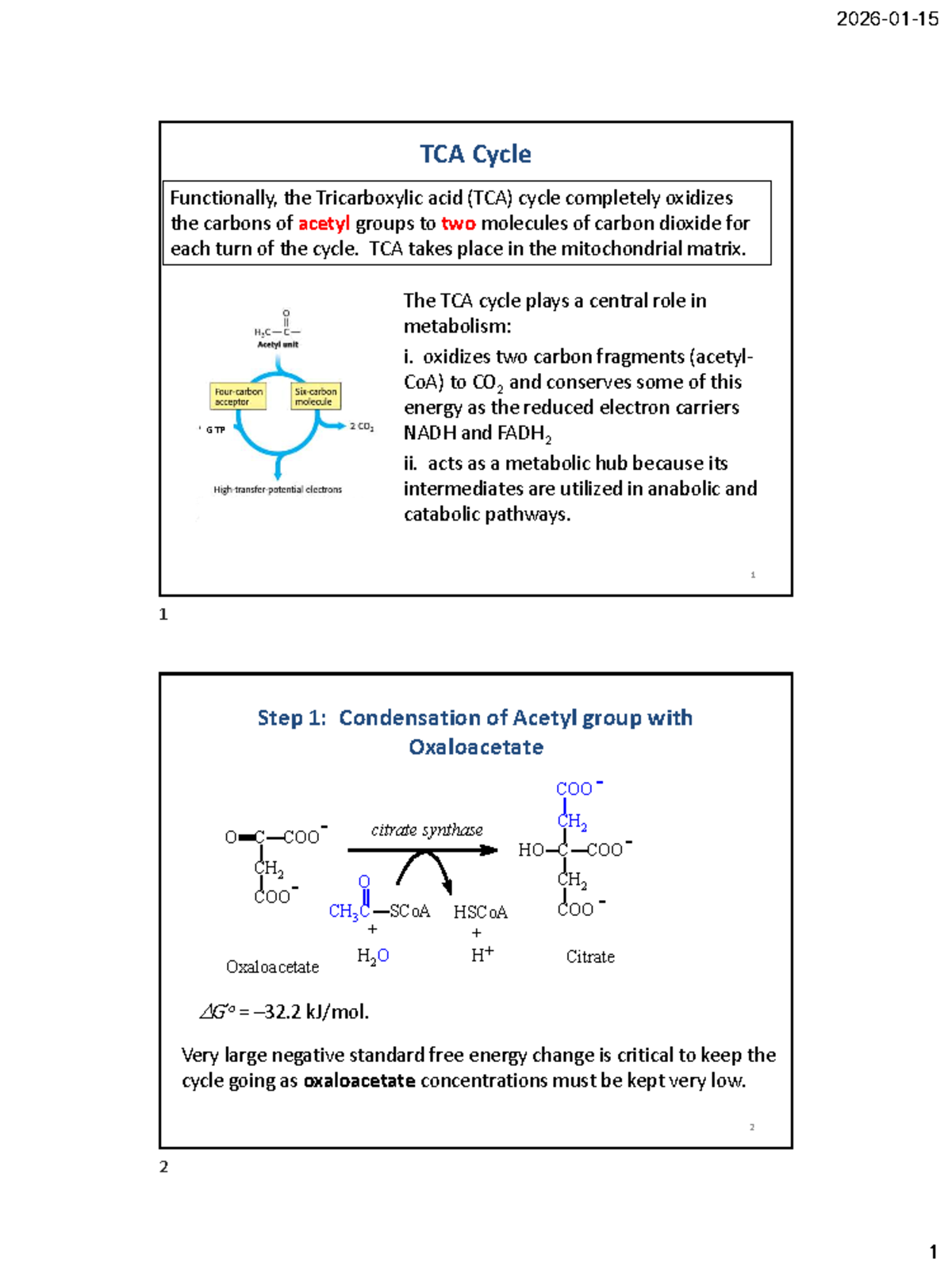 Lec. 11 TCA Cycle Overview - Chem 2750 Notes - Studocu