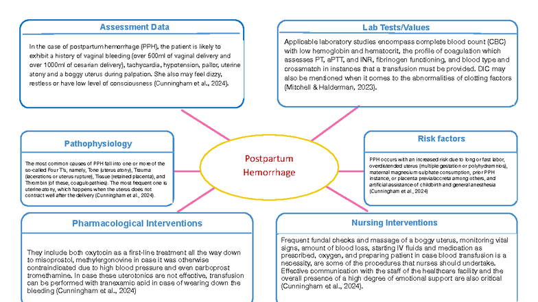 PPH Assessment Data Lab: Understanding Postpartum Hemorrhage - Studocu