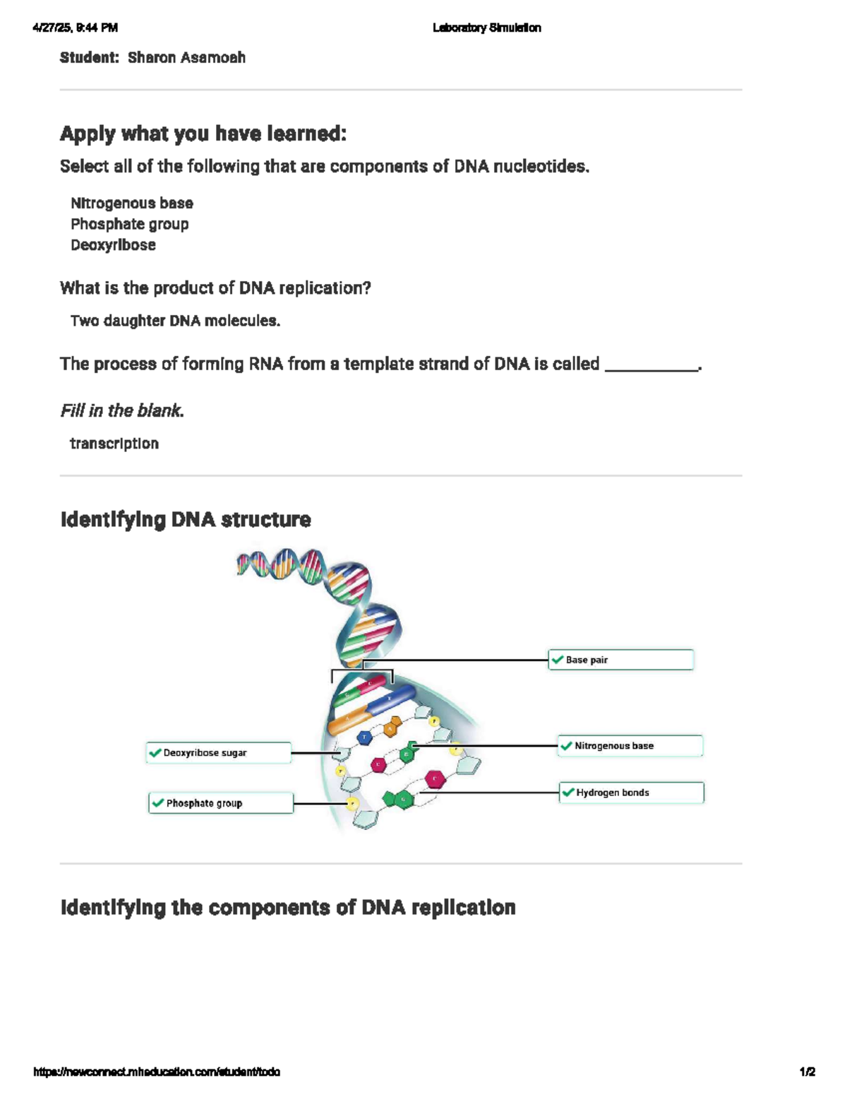 DNA & RNA Structure Lab: Components & Replication (BIO 101) - Studocu