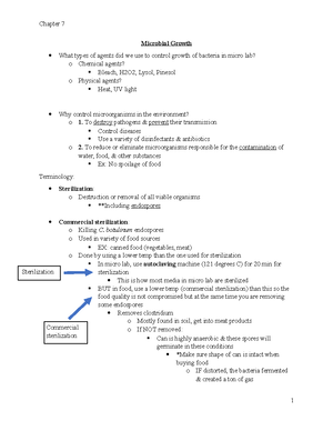 Understanding Viruses: Classification, Replication, and Impacts - An In-Depth Look at Viruses ...