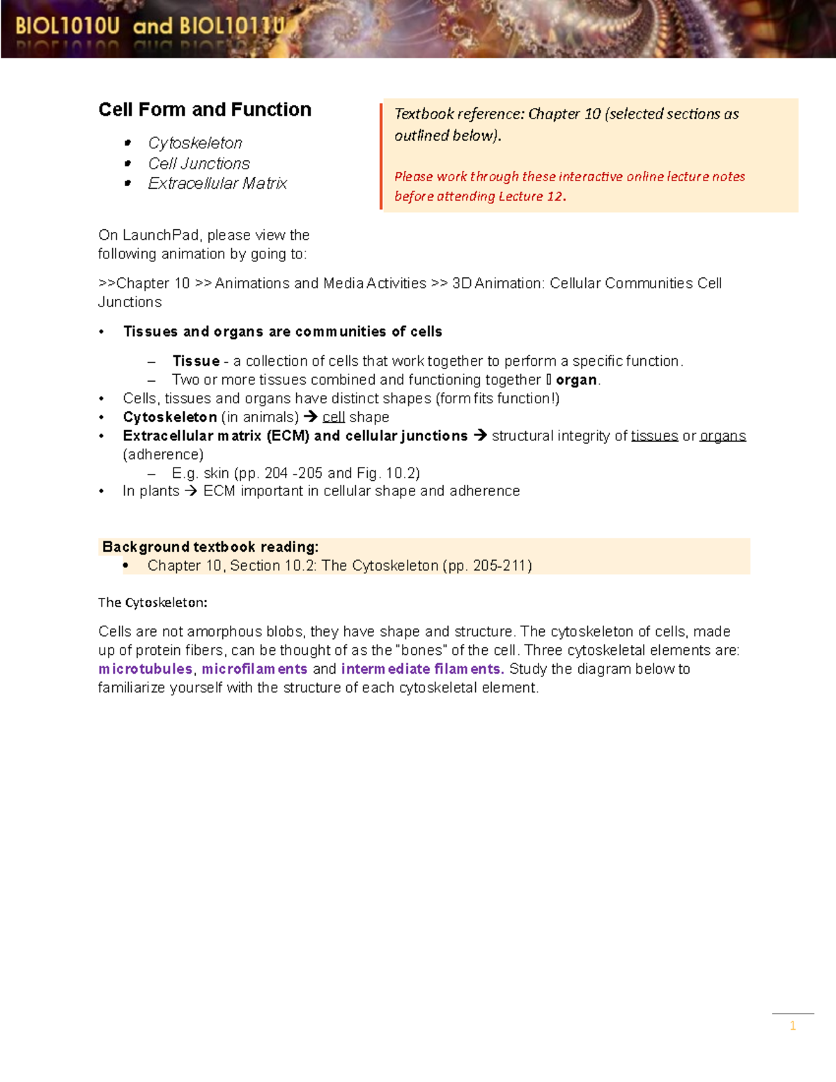 L12 Cell Form Function Interactive notes 2022-1 - Cell Form and ...