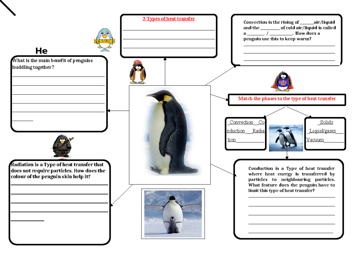 Revision heat transfer penguins - He at 3 Types of heat transfer - Studocu