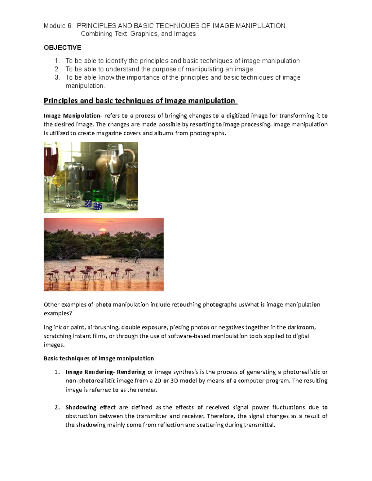 Module 6 Lesson 5: Image Manipulation Techniques and Principles - Studocu