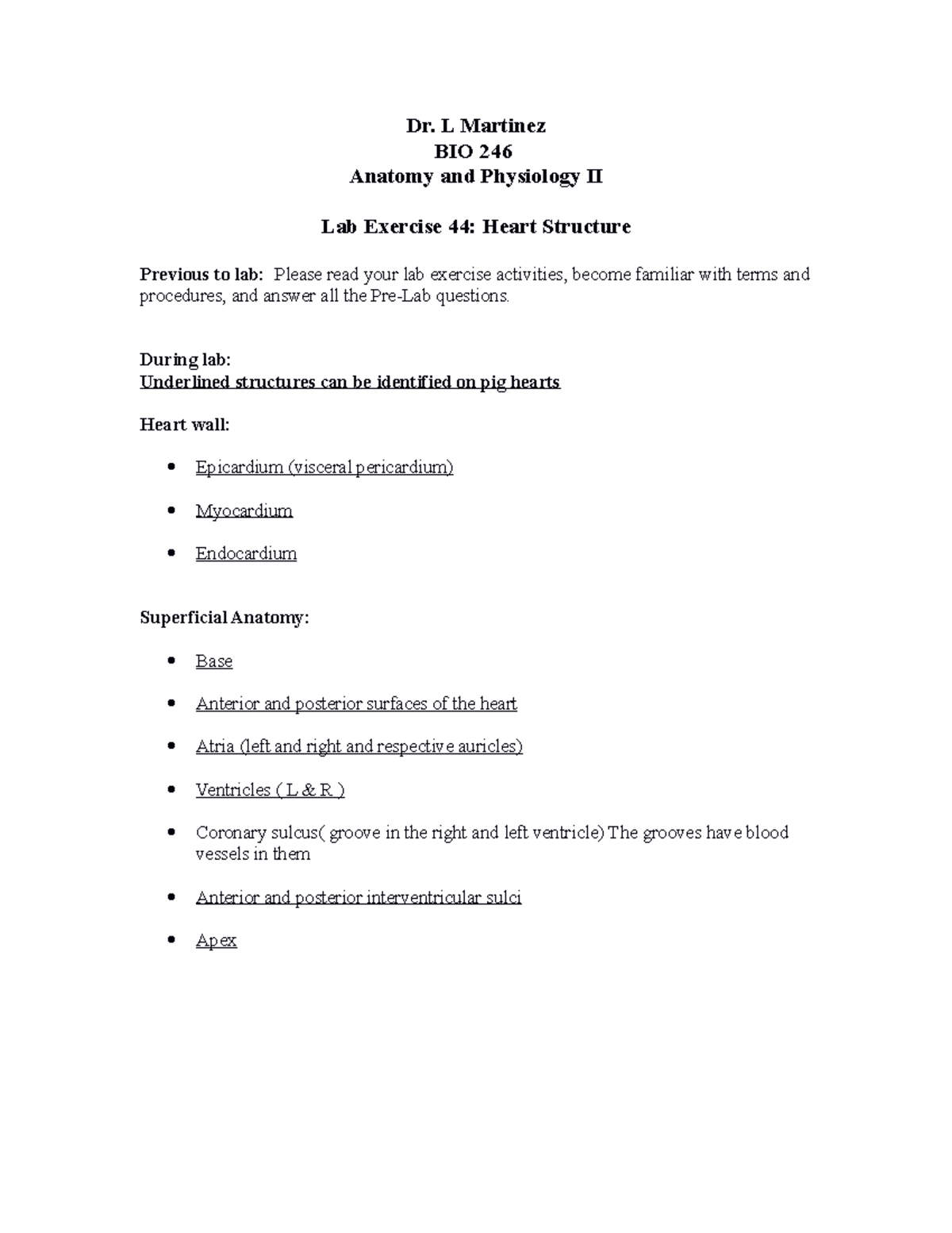 Lab Exercise 44: Exploring Heart Anatomy in BIO 246 - Studocu