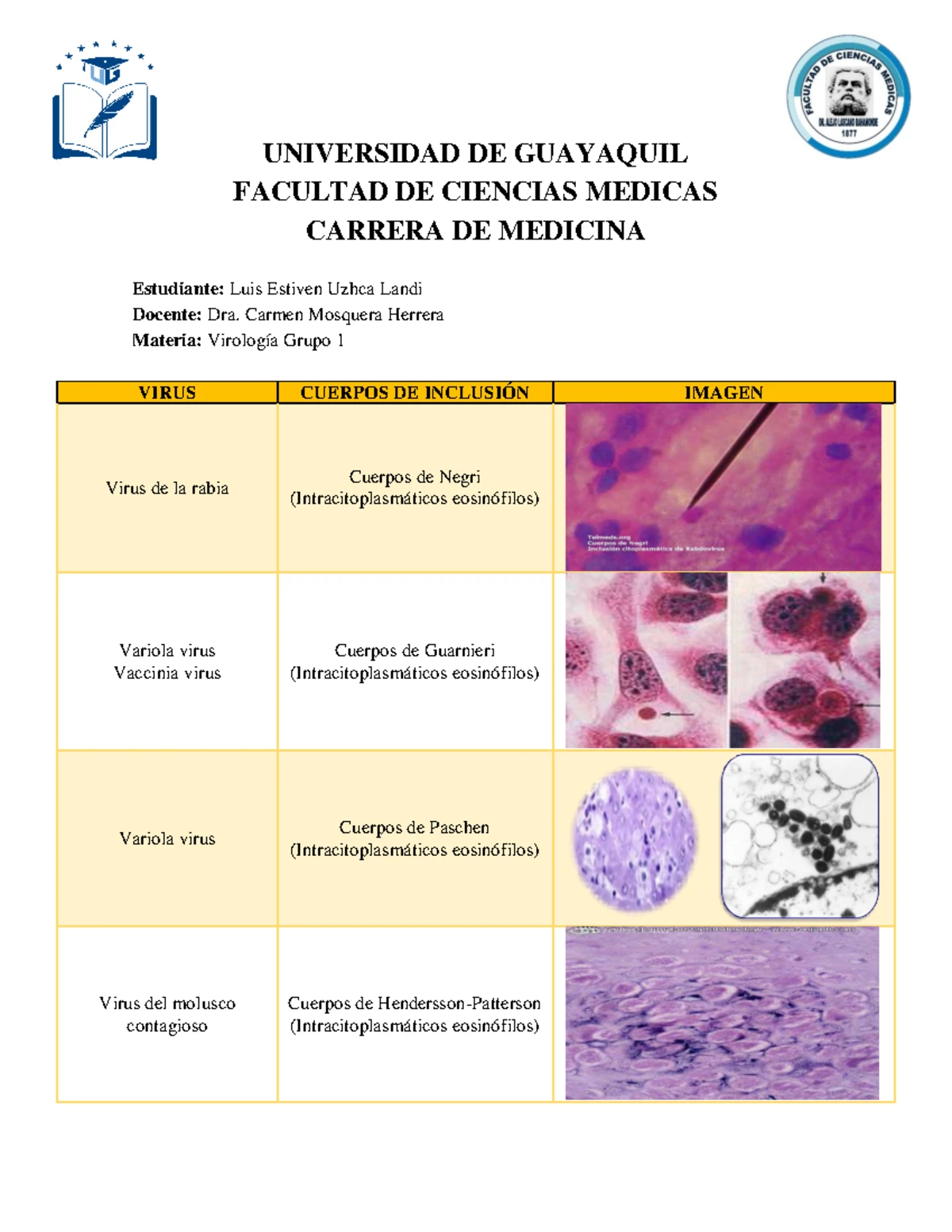 Cuerpos De Inclusión Viral CLASES DE VIROLOGIA - Universidad de ...