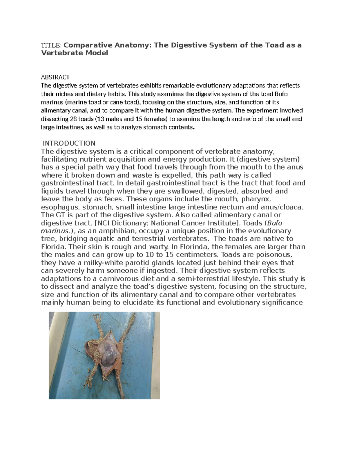 Comparative Anatomy: Digestive System of Bufo marinus (Toad ...