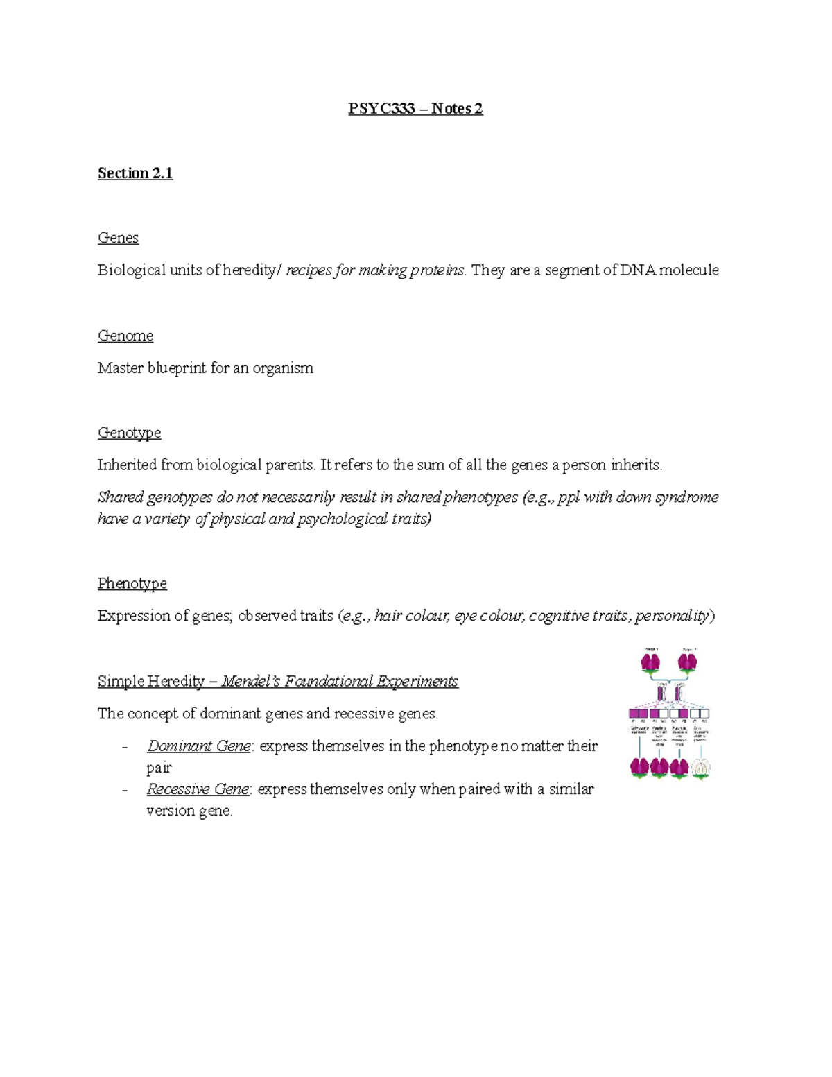 PSYC333 - Lecture Notes on Genetics and Prenatal Development - Studocu