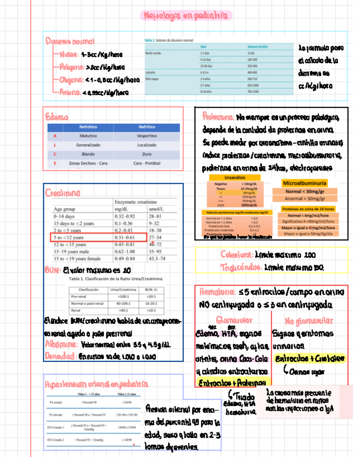 11. Nefrología en pediatría (Resumen) - Netrologiaenpedeatria ...
