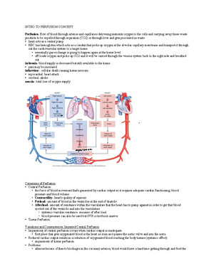 Week 13 Lecture Notes - Cellular Regulation: Concept overview ...