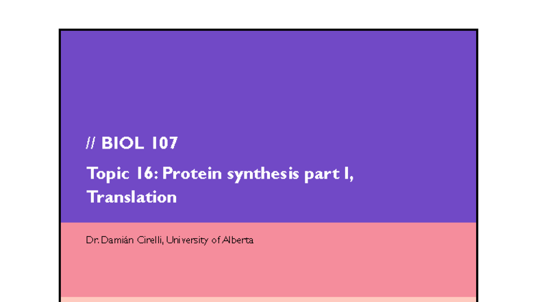 BIOL 107 Final Exam: Protein Synthesis Part I - Translation - Studocu