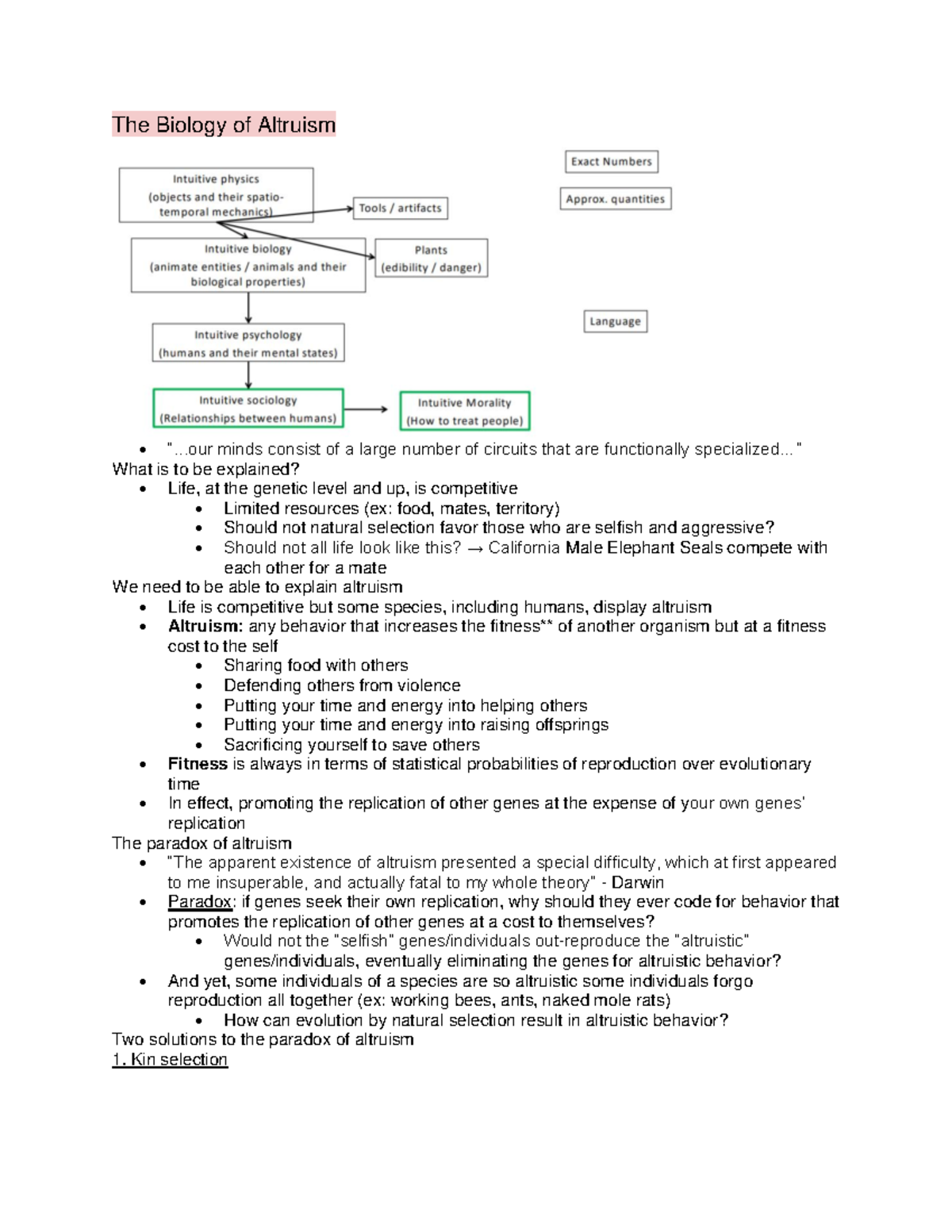 Psy 105 - 9. The Biology of Altruism - Warning: TT: undefined function ...