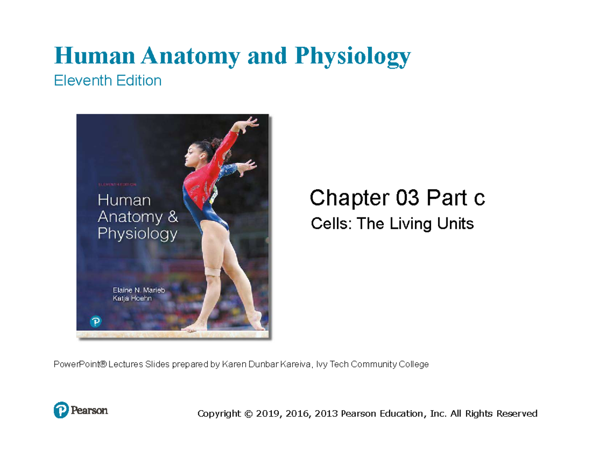 Chapter 03 - Cells: The Living Units - Human Anatomy & Physiology ...