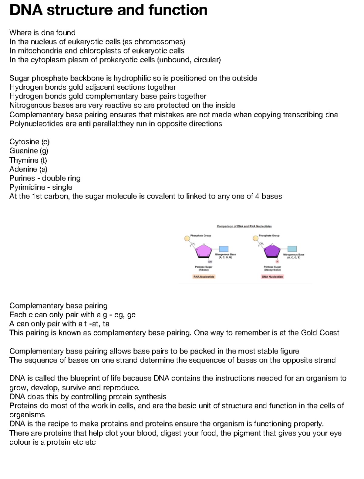 Biology Notes: DNA Structure, Cell Cycle, and Natural Selection ...