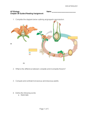 Lab Packet: Anatomical Terminology and Arthrology (Anatomy Course ...