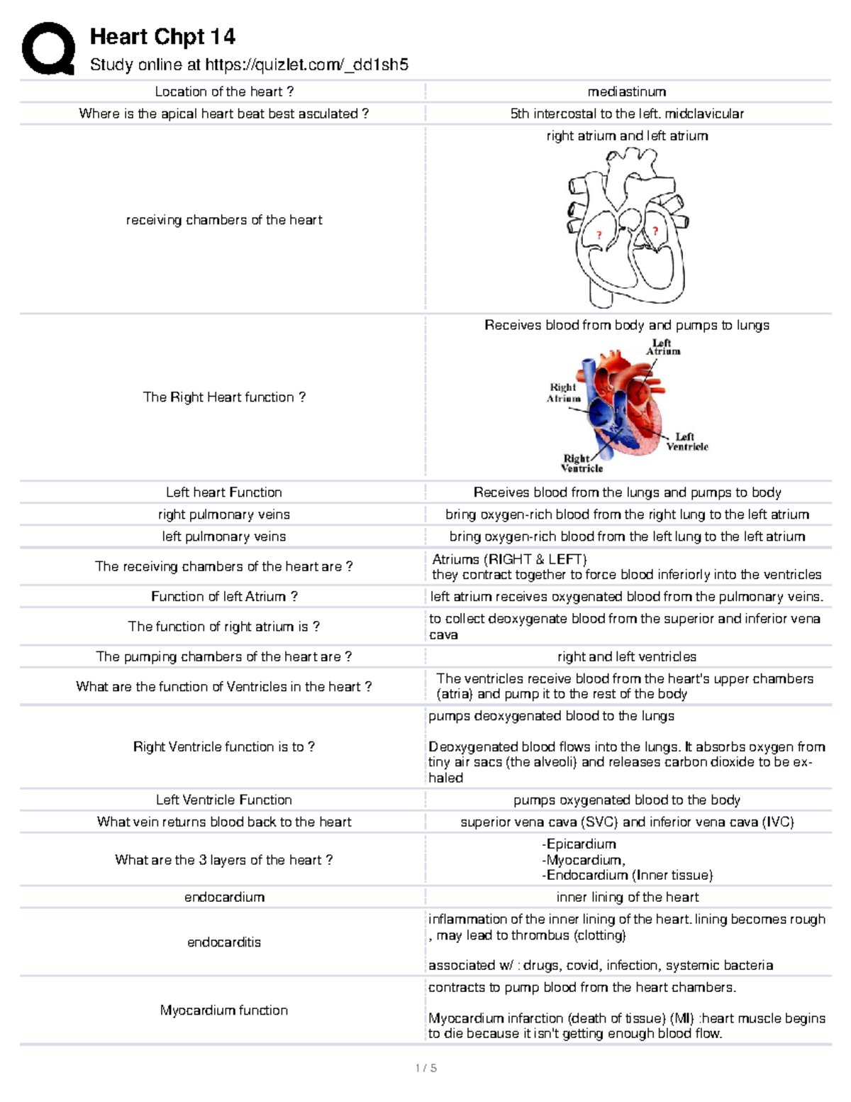 Heart Anatomy and Functions: A Detailed Study - BIO 101 Overview - Studocu