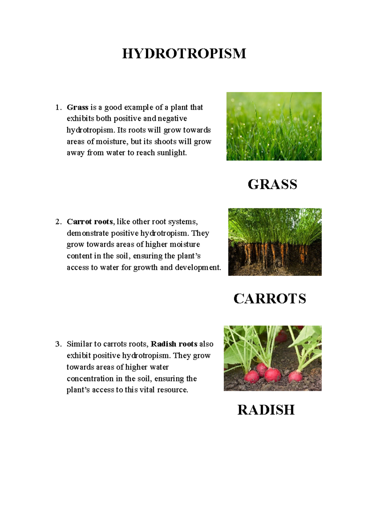 Tropism - HYDROTROPISM 1. Grass is a good example of a plant that ...