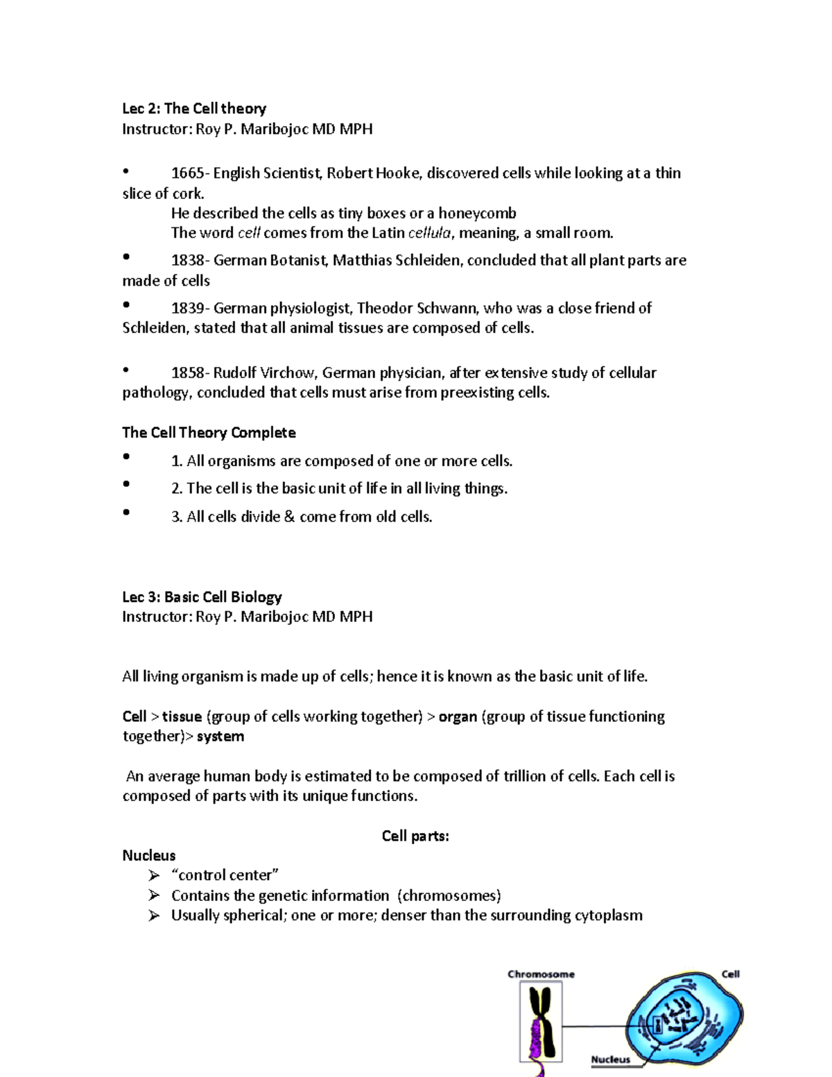 CELL Theory and Basic Cell Biology: Lectures 2 & 3 Summary - Studocu