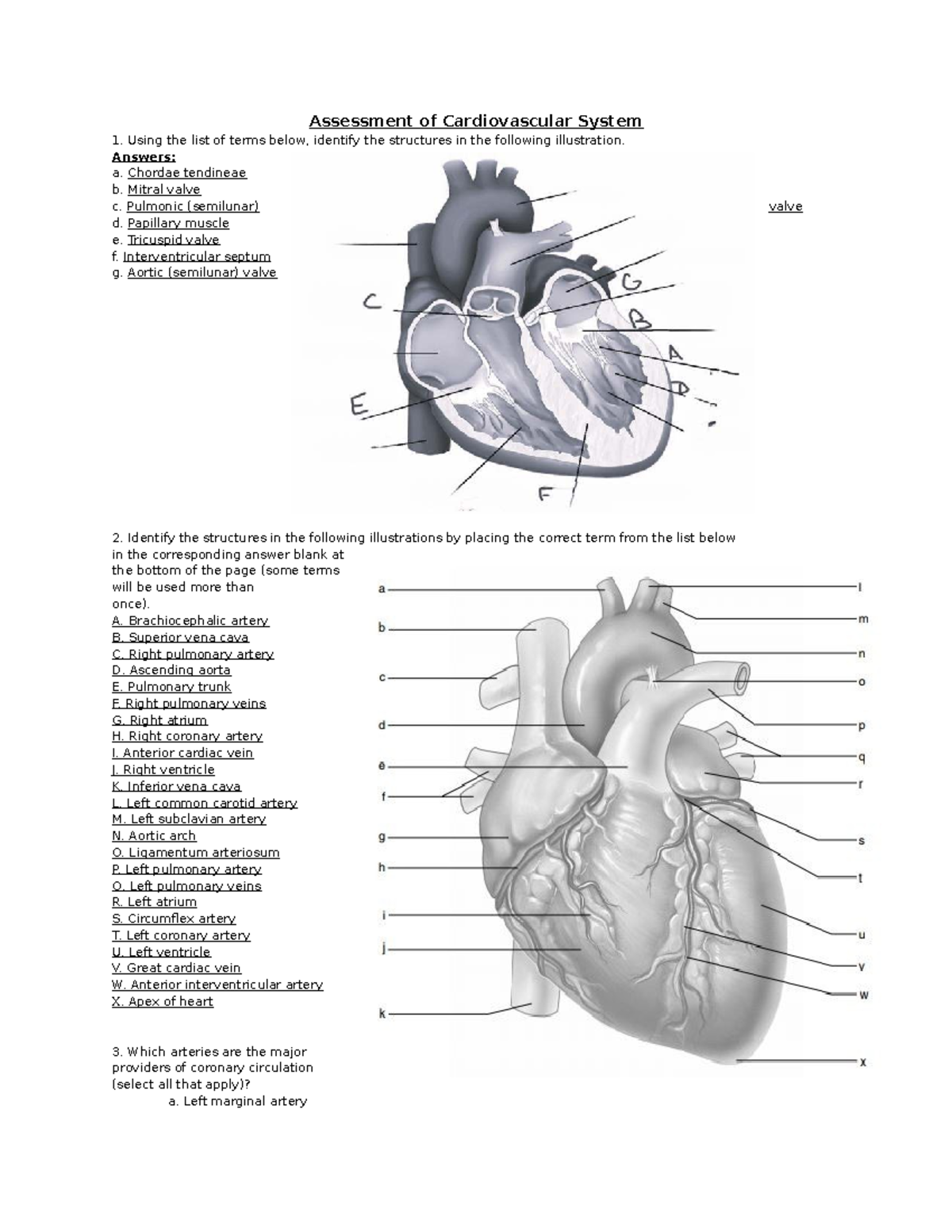Cardiac System Assessment: Key Concepts and Structures (Course Code ...