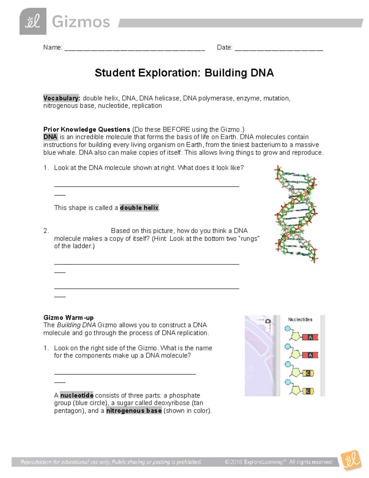 Exploring DNA Structure and Replication: Student Guide for BIOS101 ...