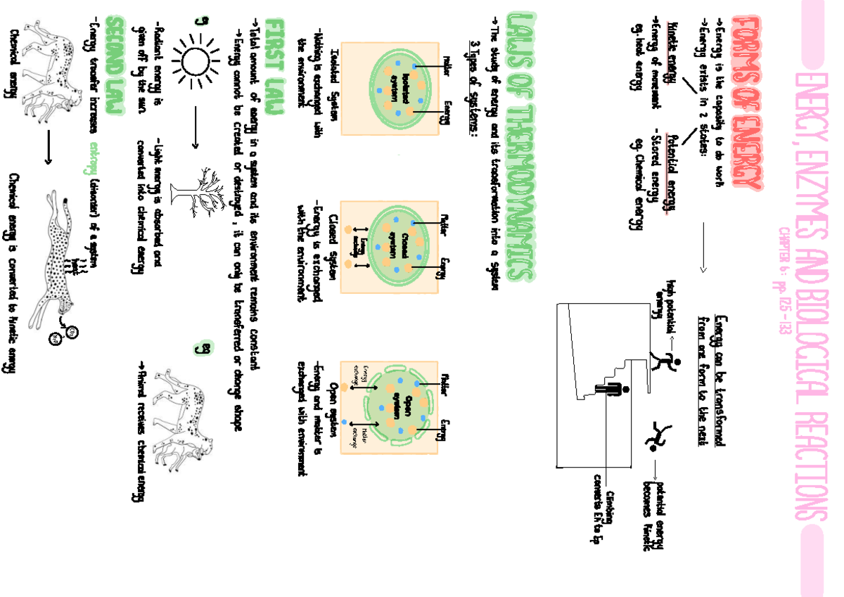 Lecture 6 + 7; Energy, Ensymes and Biological reactions - Bio 124 ...