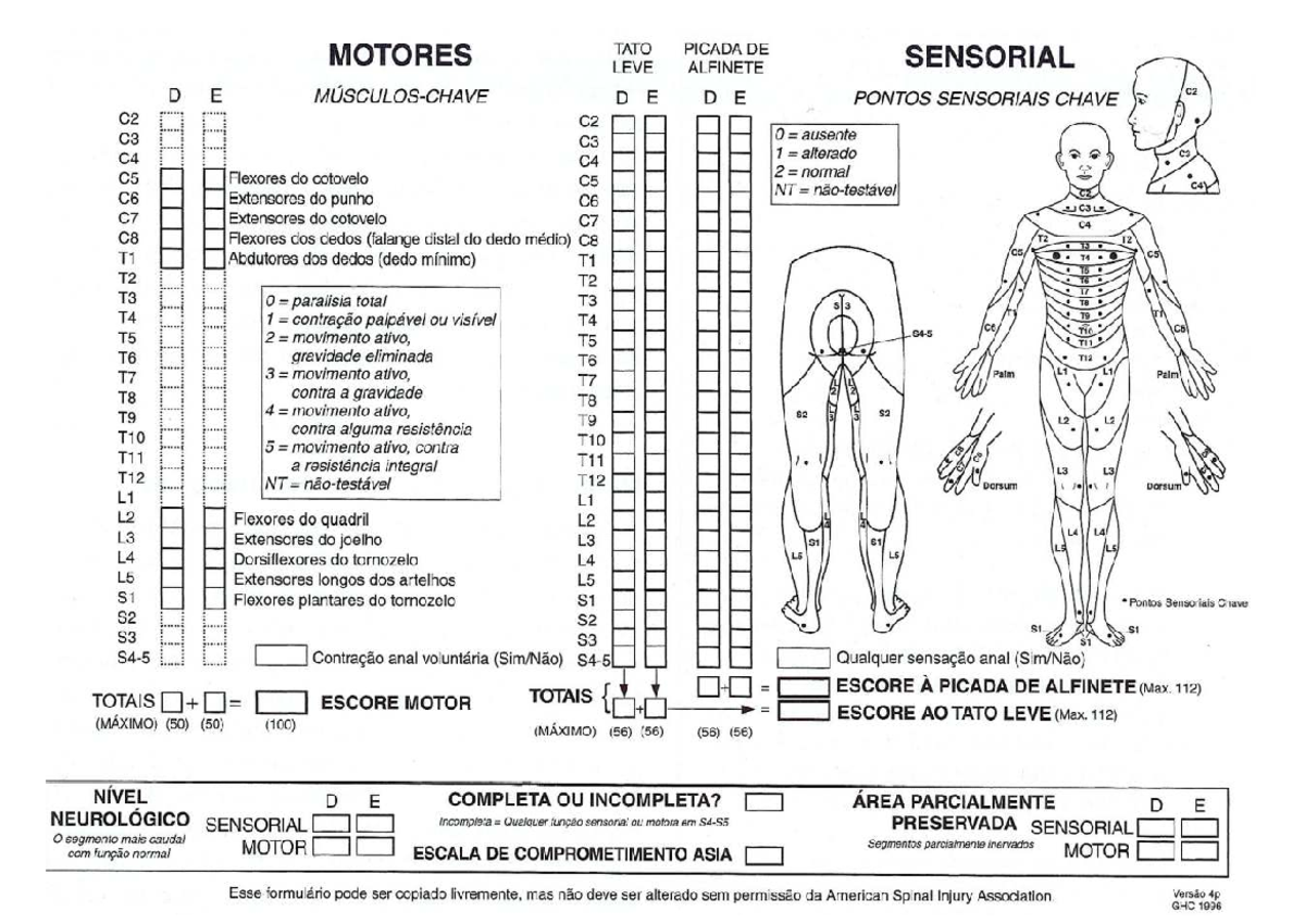 ASIA Assessment: Sensory and Motor Scoring Guide - Studocu