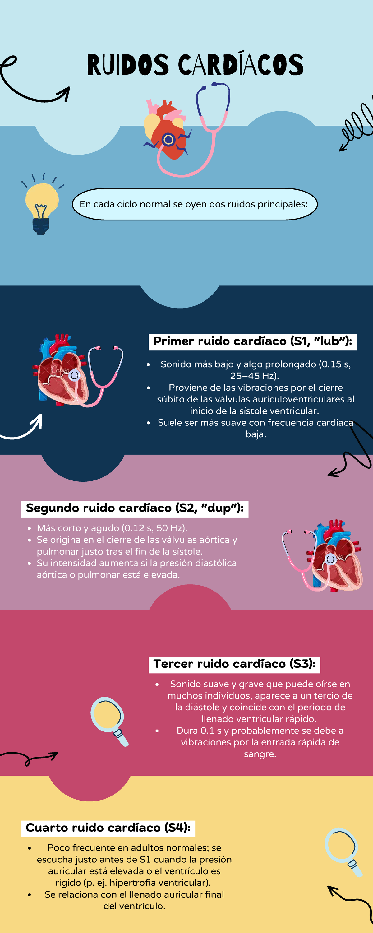 RUIDOS CARDÍACOS: Análisis de S1, S2, S3 y S4 en el Ciclo Cardíaco ...