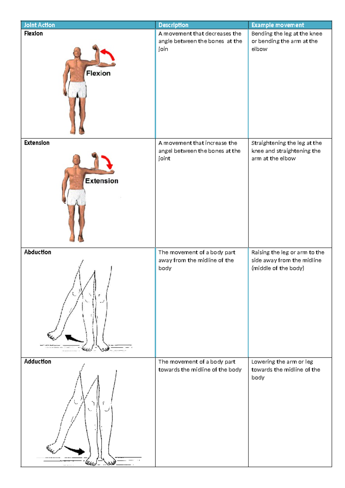 Anatomical Terms of Movement: Joint Actions Explained (KINE 101) - Studocu