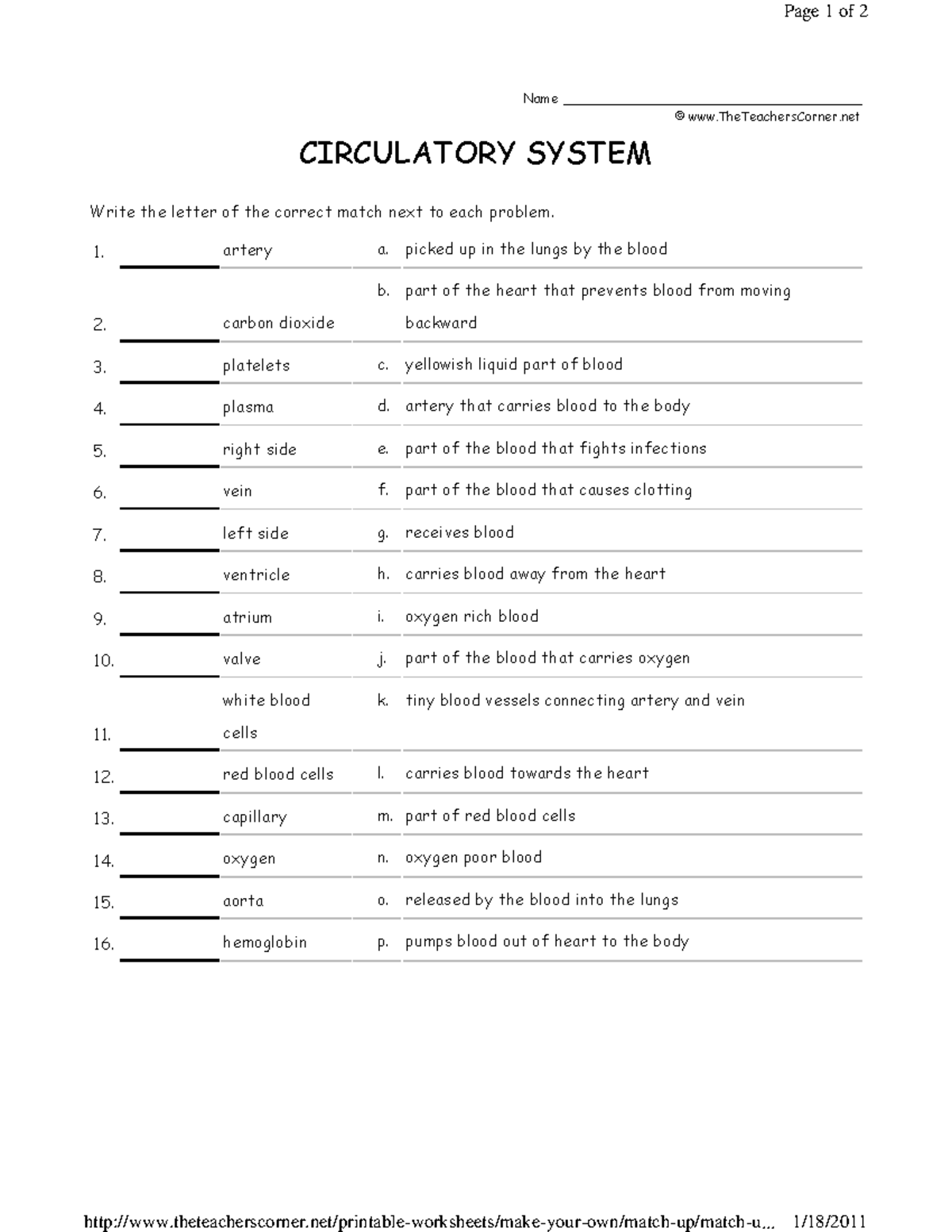Circulatory System Student - Name ...