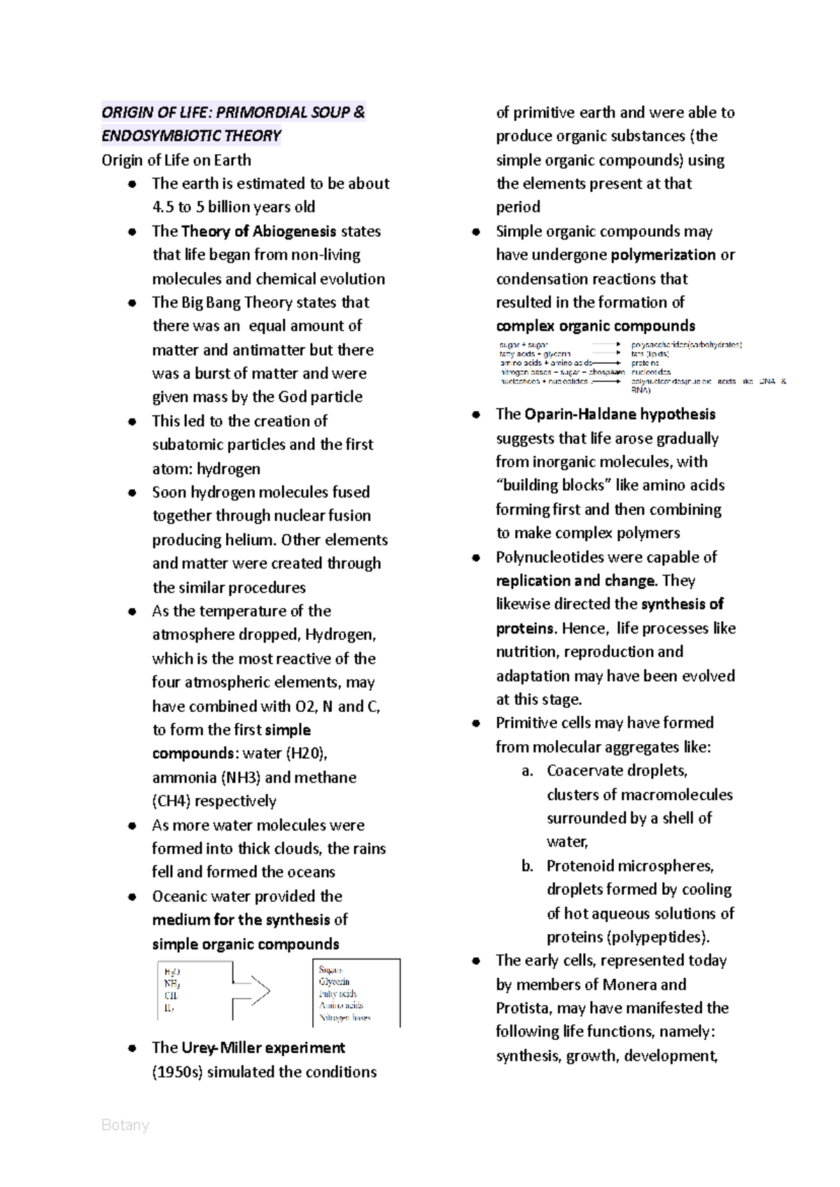 The Origin of Life Primordial Soup & the Endosymbiotic Theory - ORIGIN ...