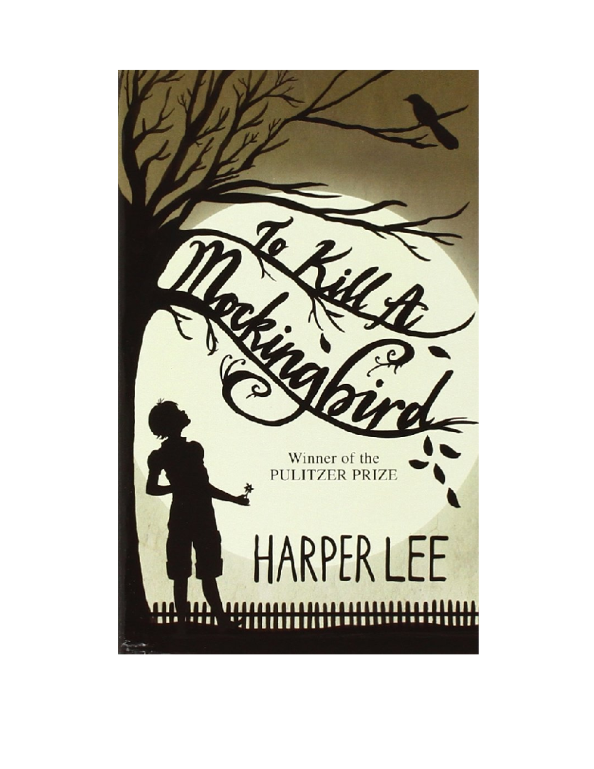 To Kill A Mockingbird: Chapter 1 Overview and Key Insights - 1960 TO ...