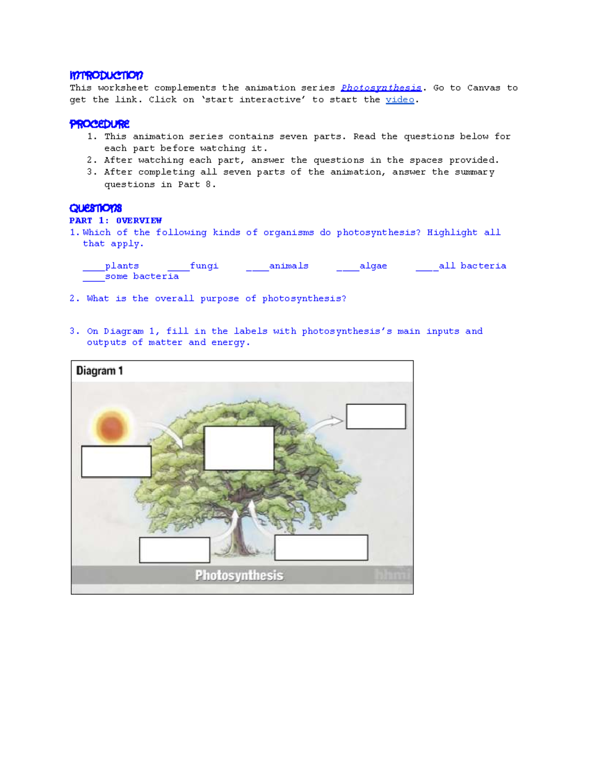 HHMI Photosynthesis Animation Worksheet (BIO 101) - Studocu