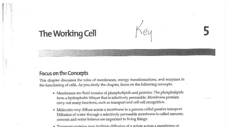 Ch 5 Study Guide Key - The Working Cell Concepts and Functions - Studocu