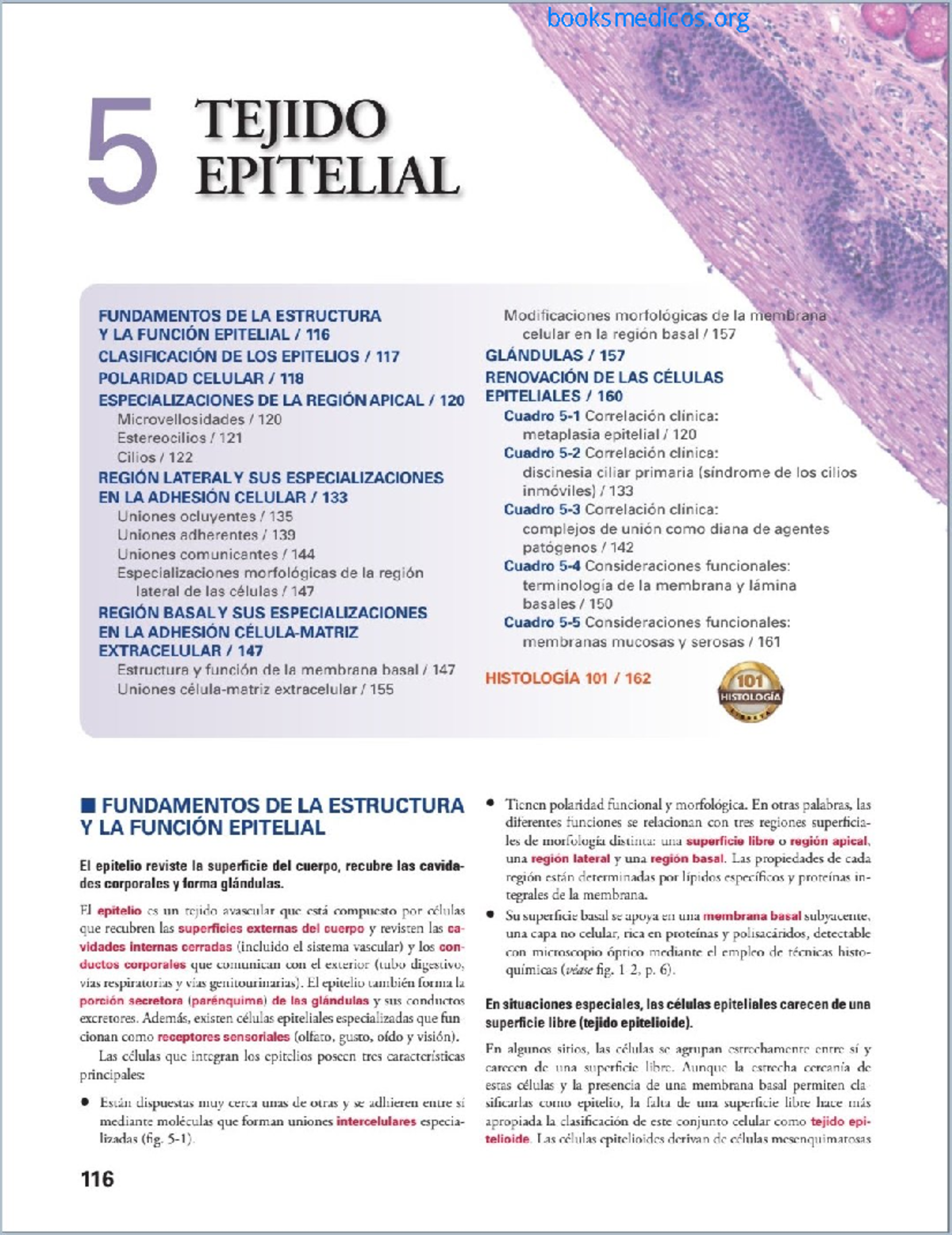 Tejido epitelial Ross - Extracto del capítulo 4 del Ross 8va edición - 5 TEJIDO EPITELIAL - Studocu