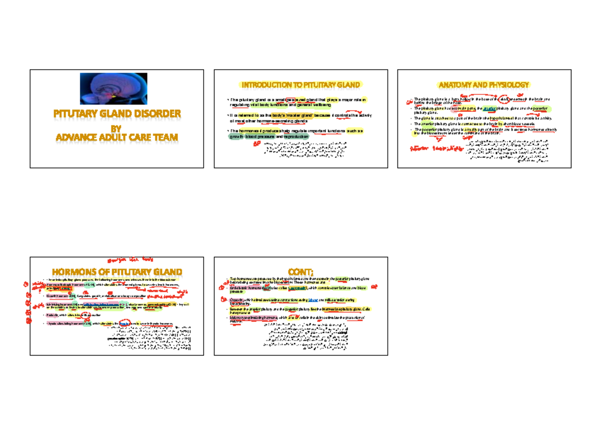 2- Pituitary Gland Overview - Nursing Studies Theory & Practice - Studocu
