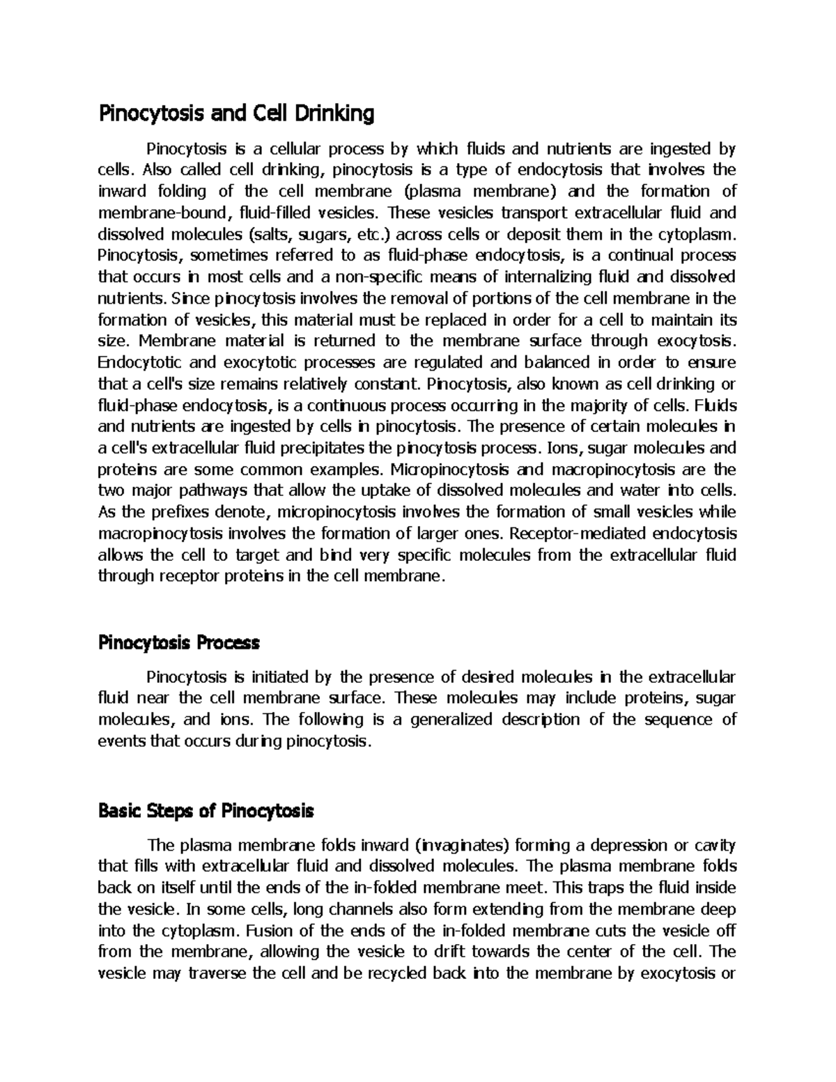 Pinocytosis and Cell Drinking-An Introduction to Sensory Marketing ...