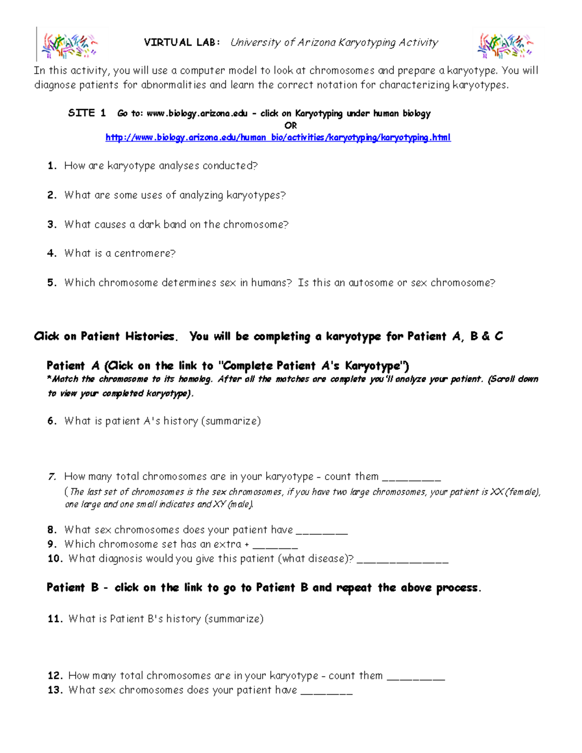 Karyotyping Virtual Lab Activity: University of Arizona Guide - Studocu