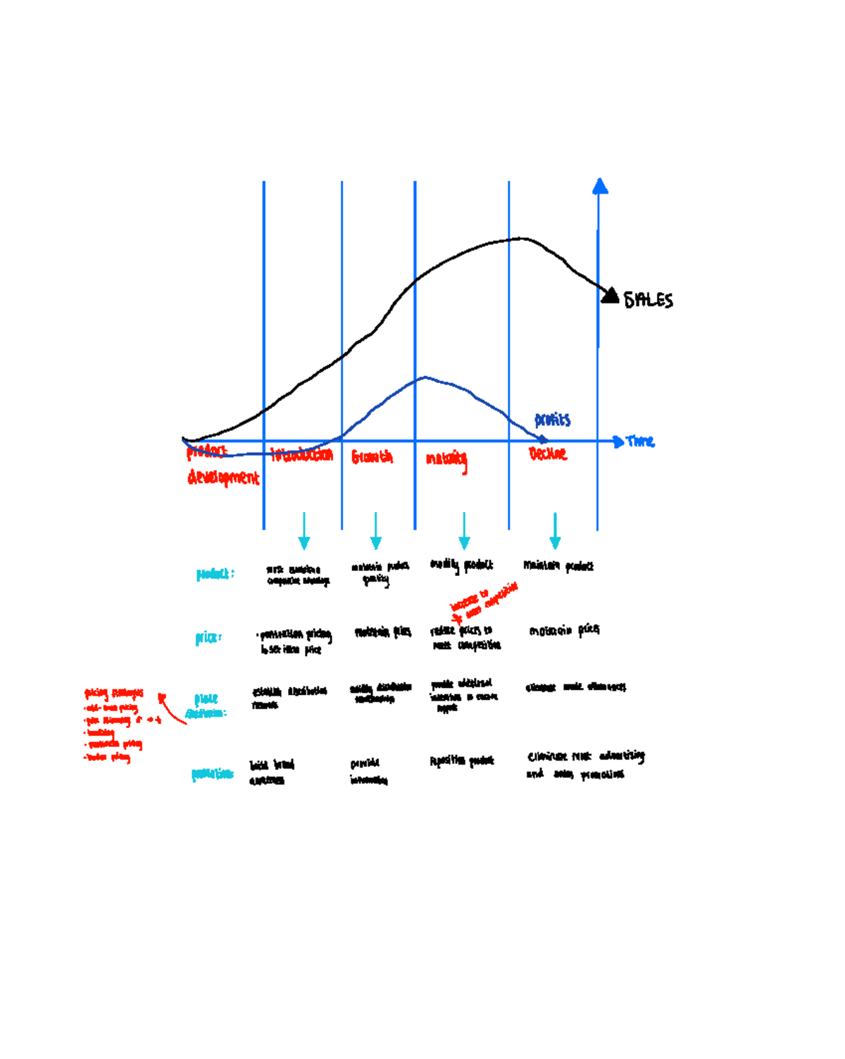 SALES 101: Product Lifecycle Strategies & Pricing Notes - Studocu
