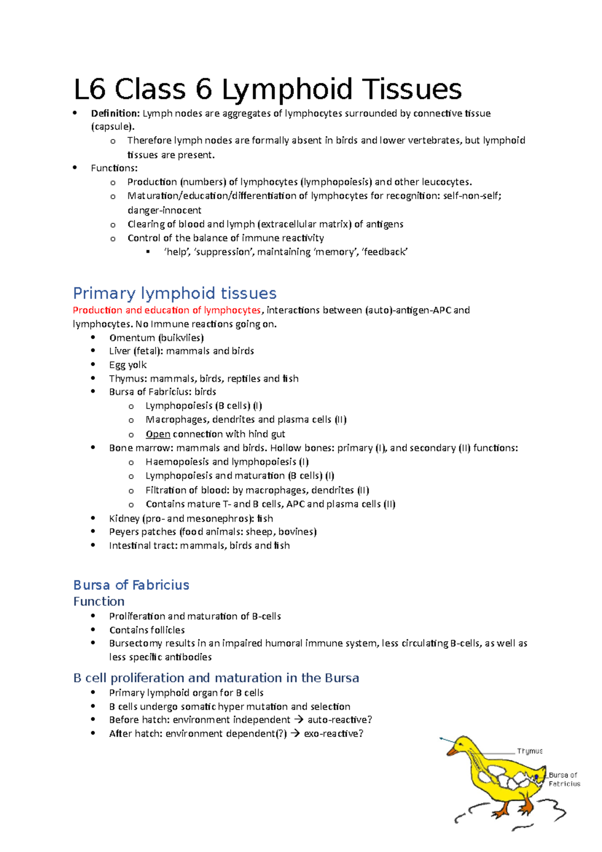 L6 Class 6 Overview of Lymphoid Tissues and Their Functions - Studeersnel