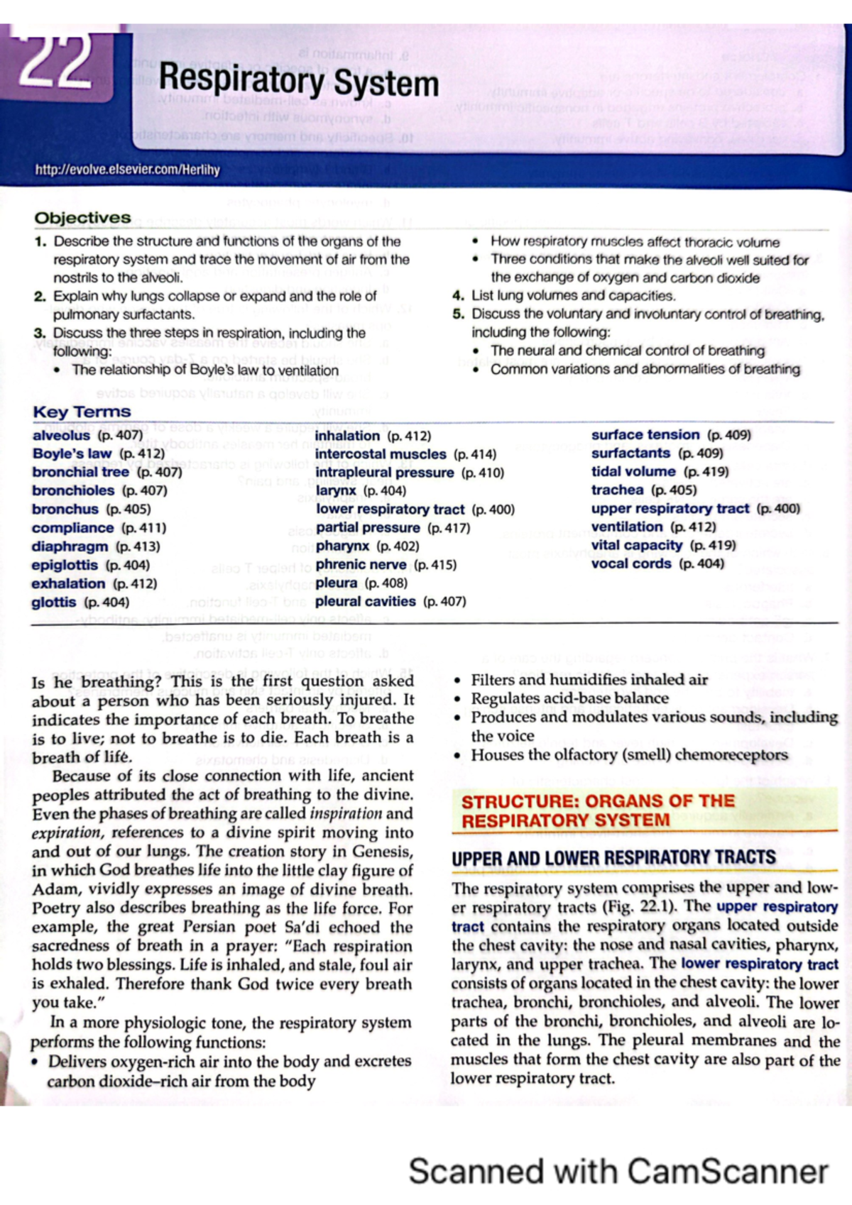 Chapter 22: The Respiratory System - Key Concepts & Terminology - Studocu