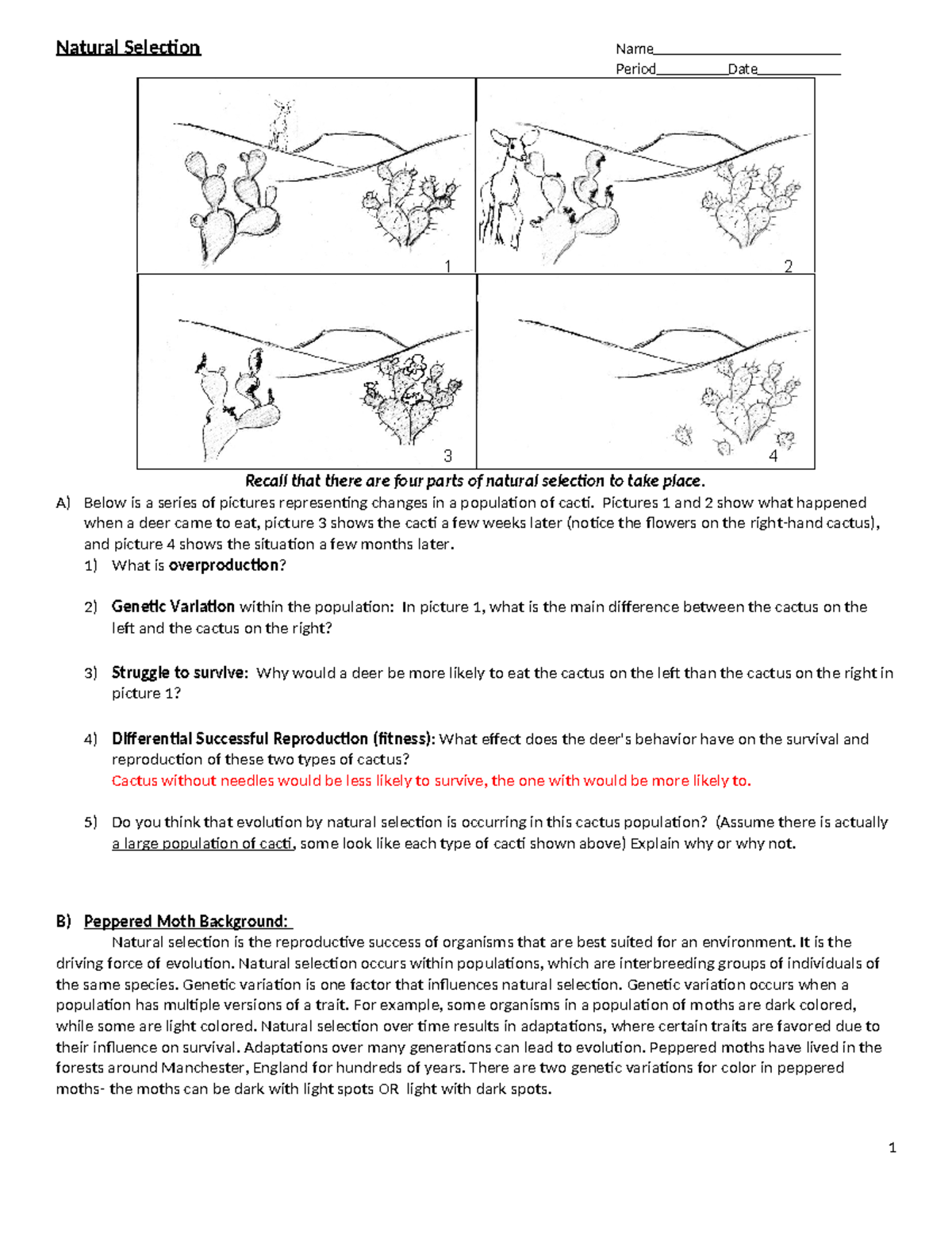 Natural Selection Module KEY: Cacti & Peppered Moths Analysis - Studocu