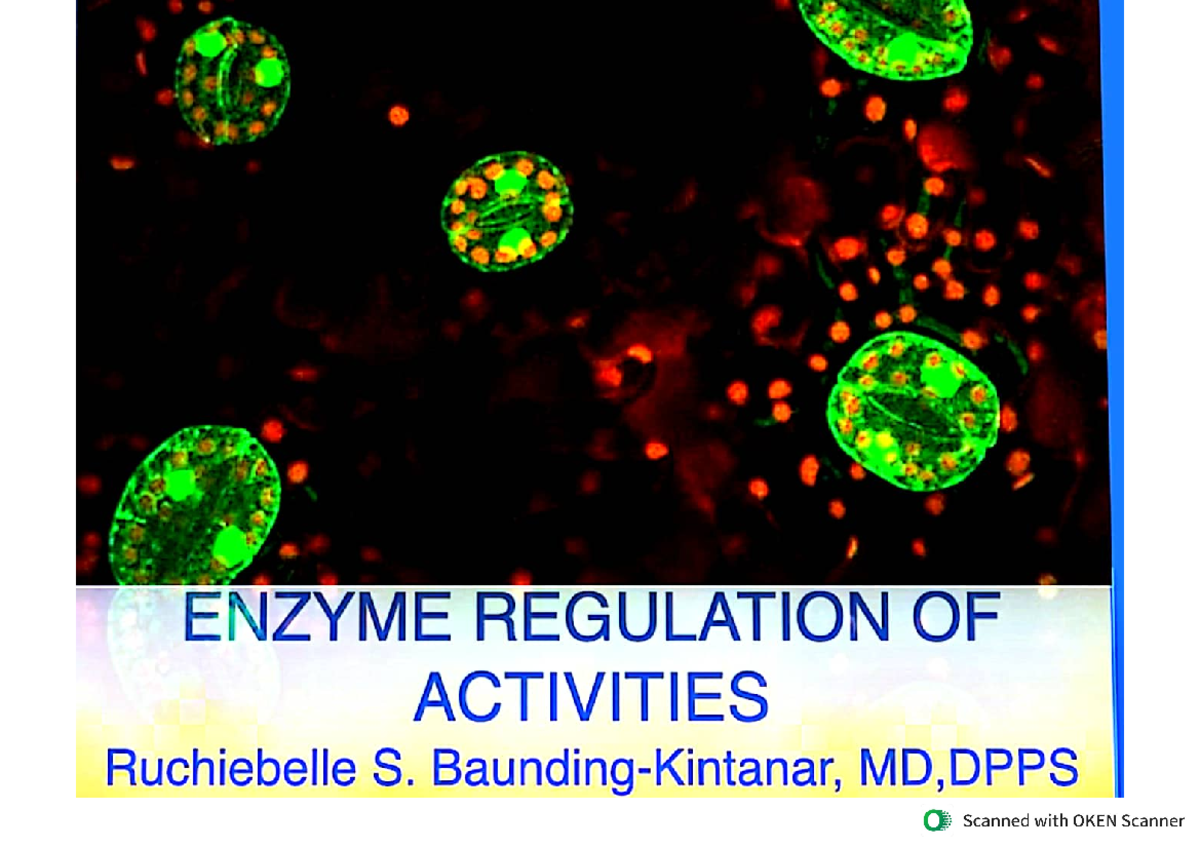 Enzyme regulation 250224 223603 - ENZYME REGULATION OF ACTIVITIES ...