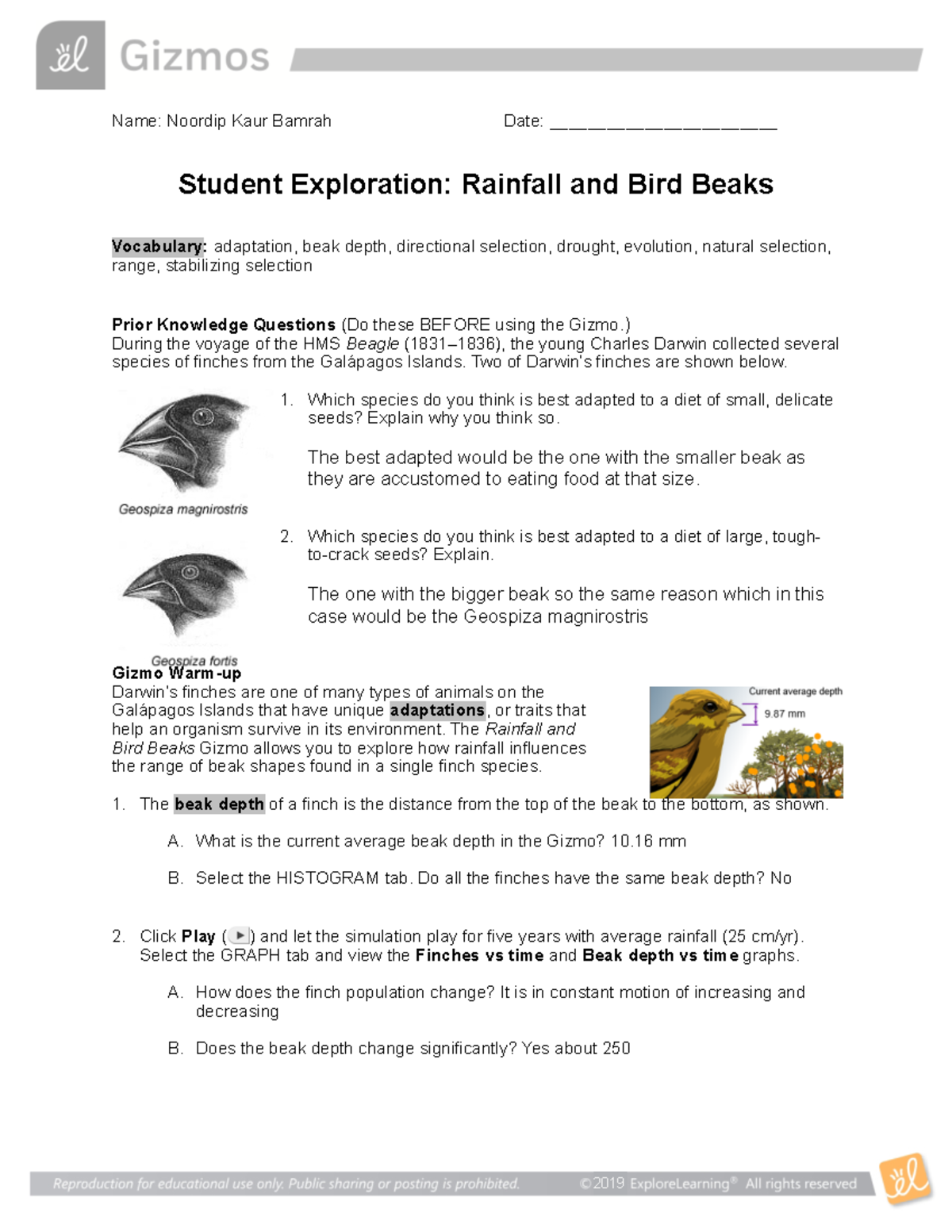 Investigation 2: Rainfall Impact on Bird Beak Depths - SE 2019 - Studocu